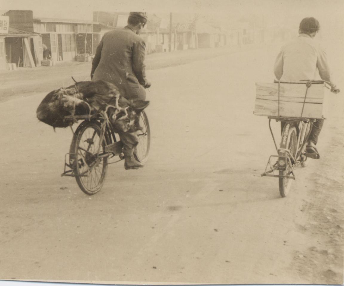 Welcome - Stephanie Fast