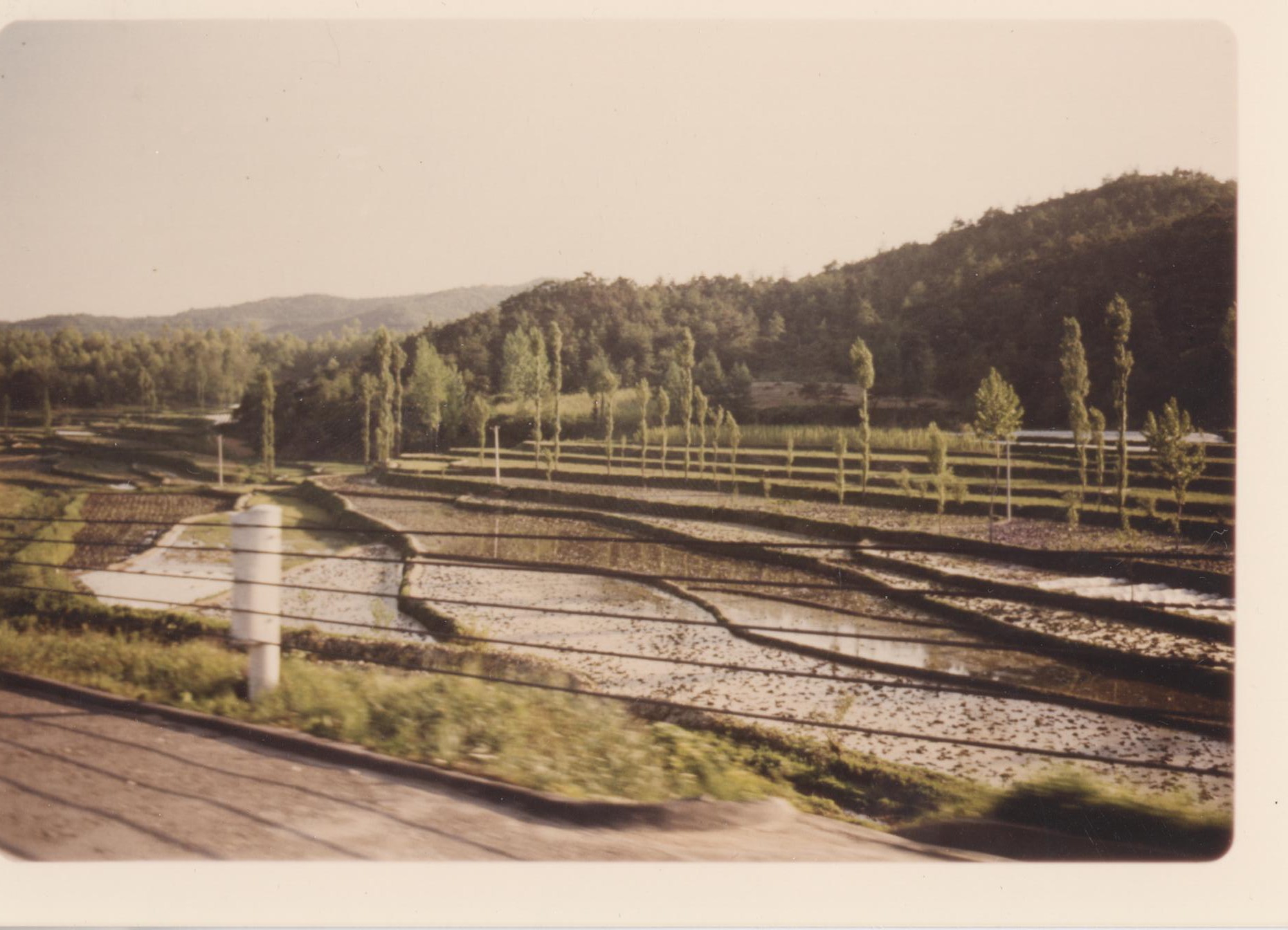 Welcome - Stephanie Fast