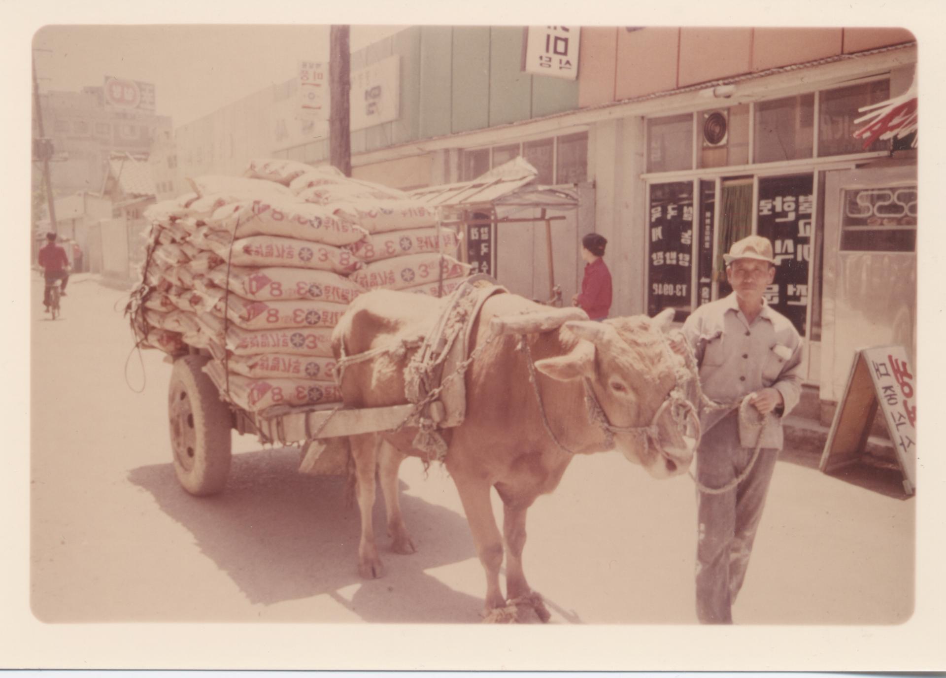 Welcome - Stephanie Fast